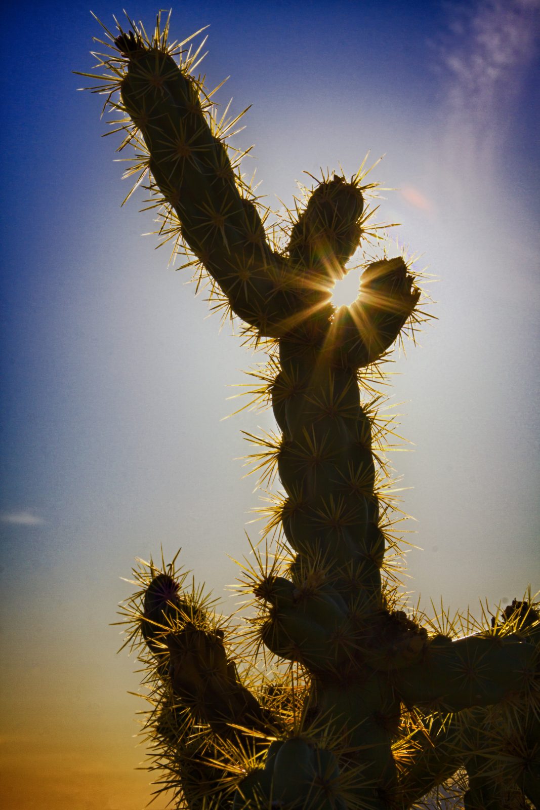 Dolan Springs Arizona a small Wild West village - Travelways